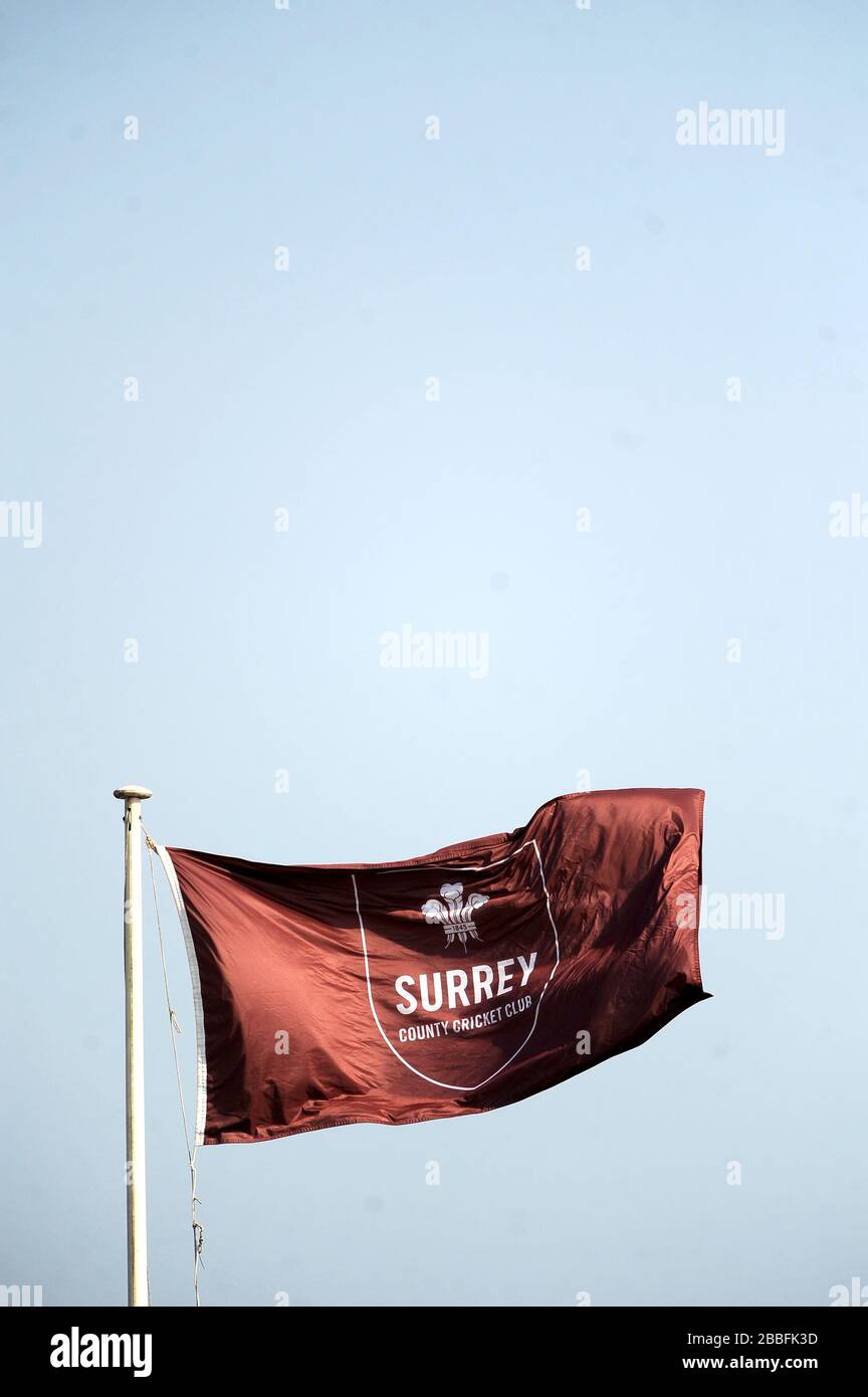 County flag of surrey hi-res stock photography and images - Alamy