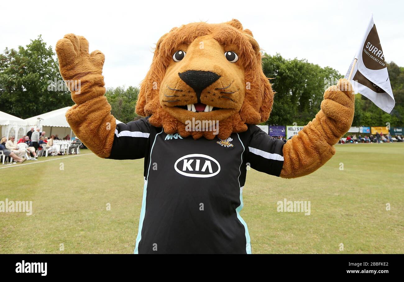 Caesar the lion hi-res stock photography and images - Alamy