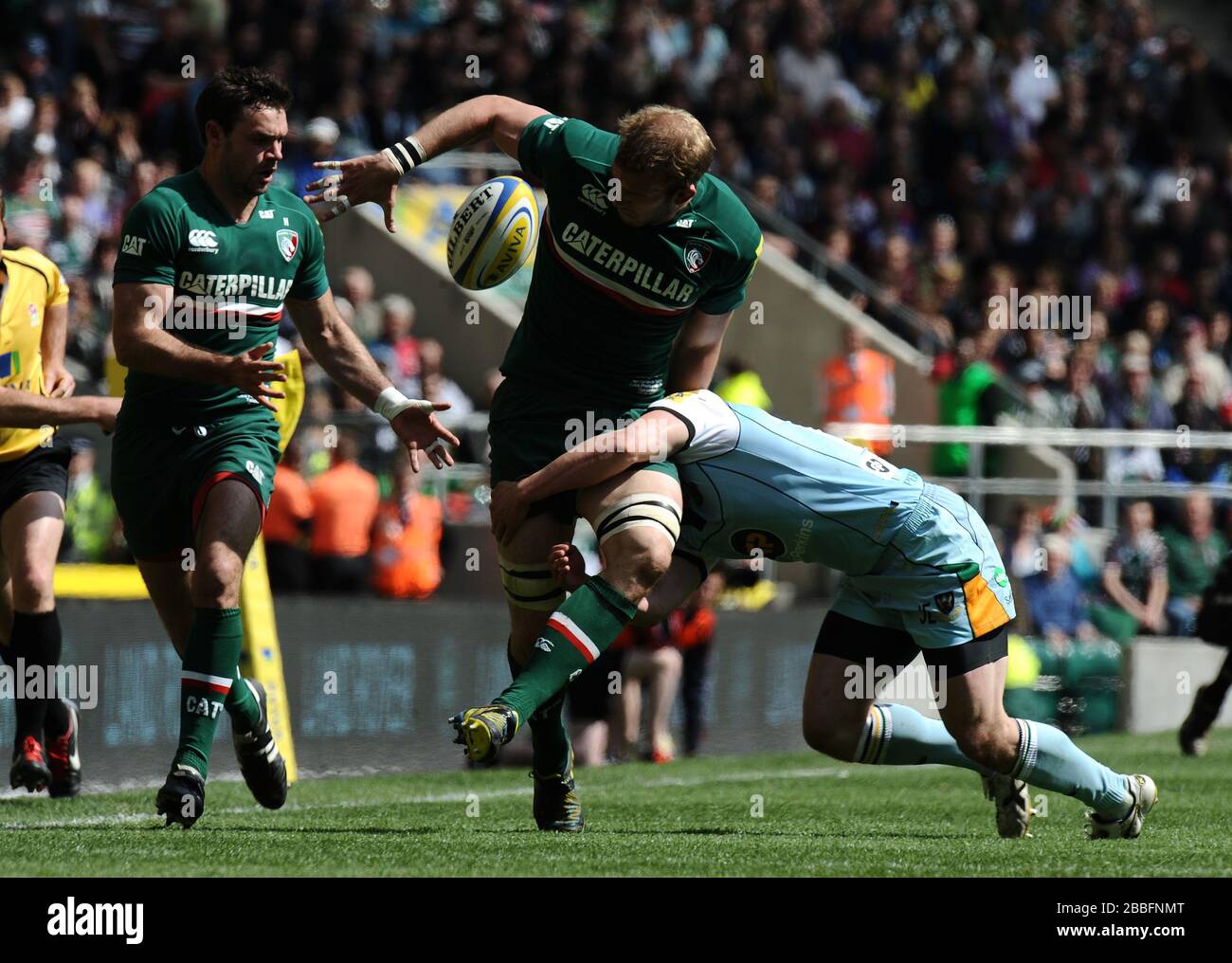 Tigers ball full length hi-res stock photography and images - Alamy