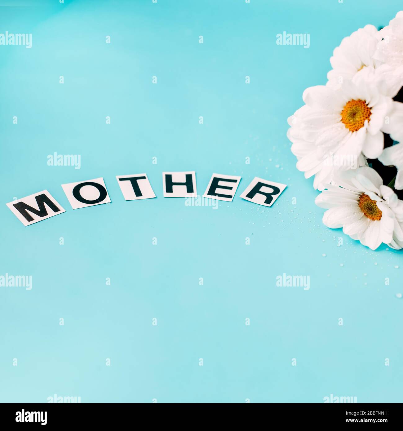 white flowers daises on blue background word mother flowers for mother ...