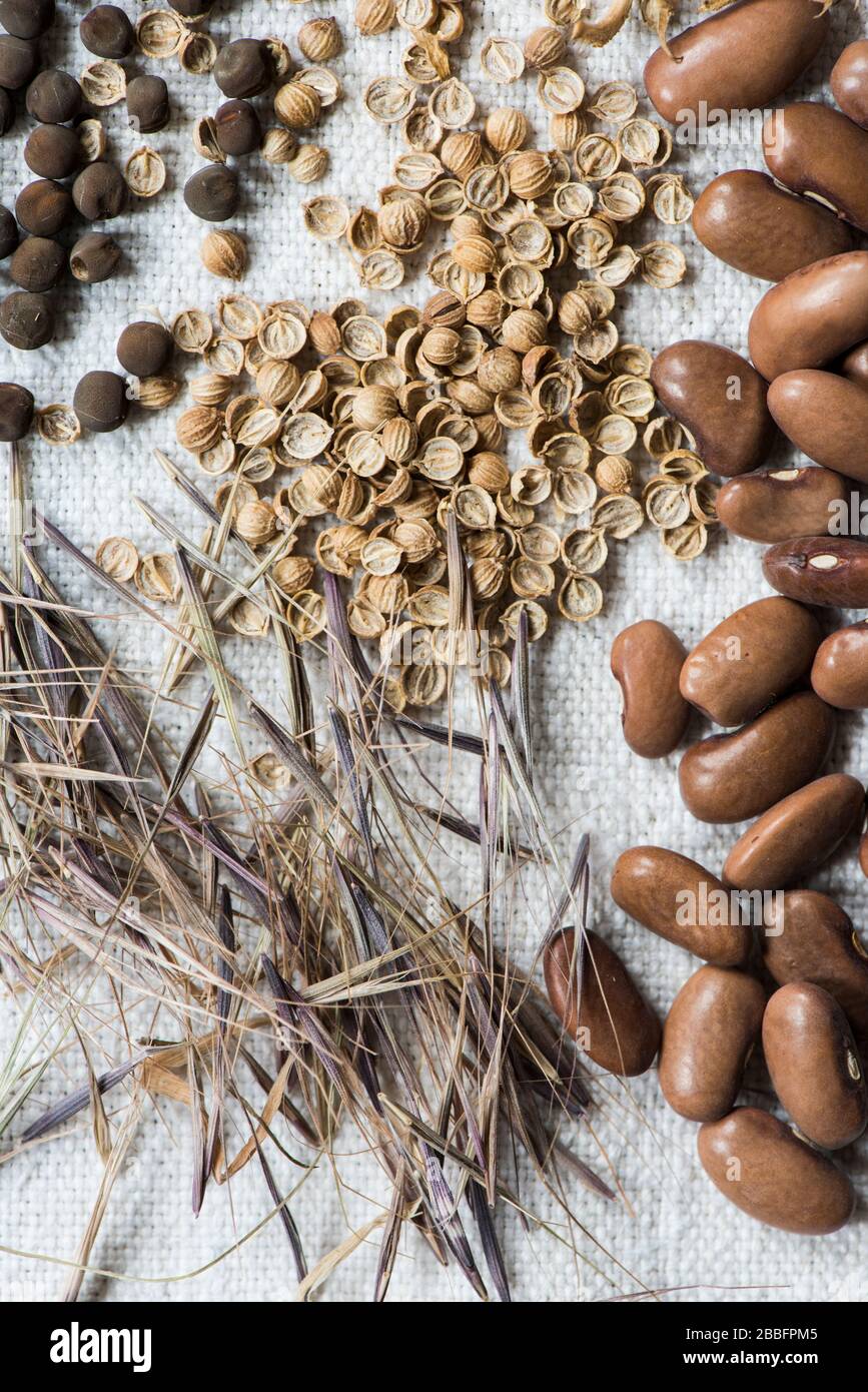 Spring flower and vegetable seeds Stock Photo - Alamy