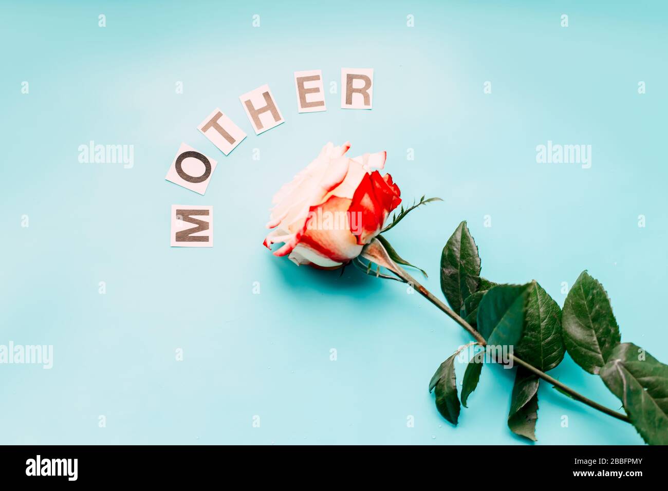 rose for mother, letters mother on blue background Stock Photo - Alamy