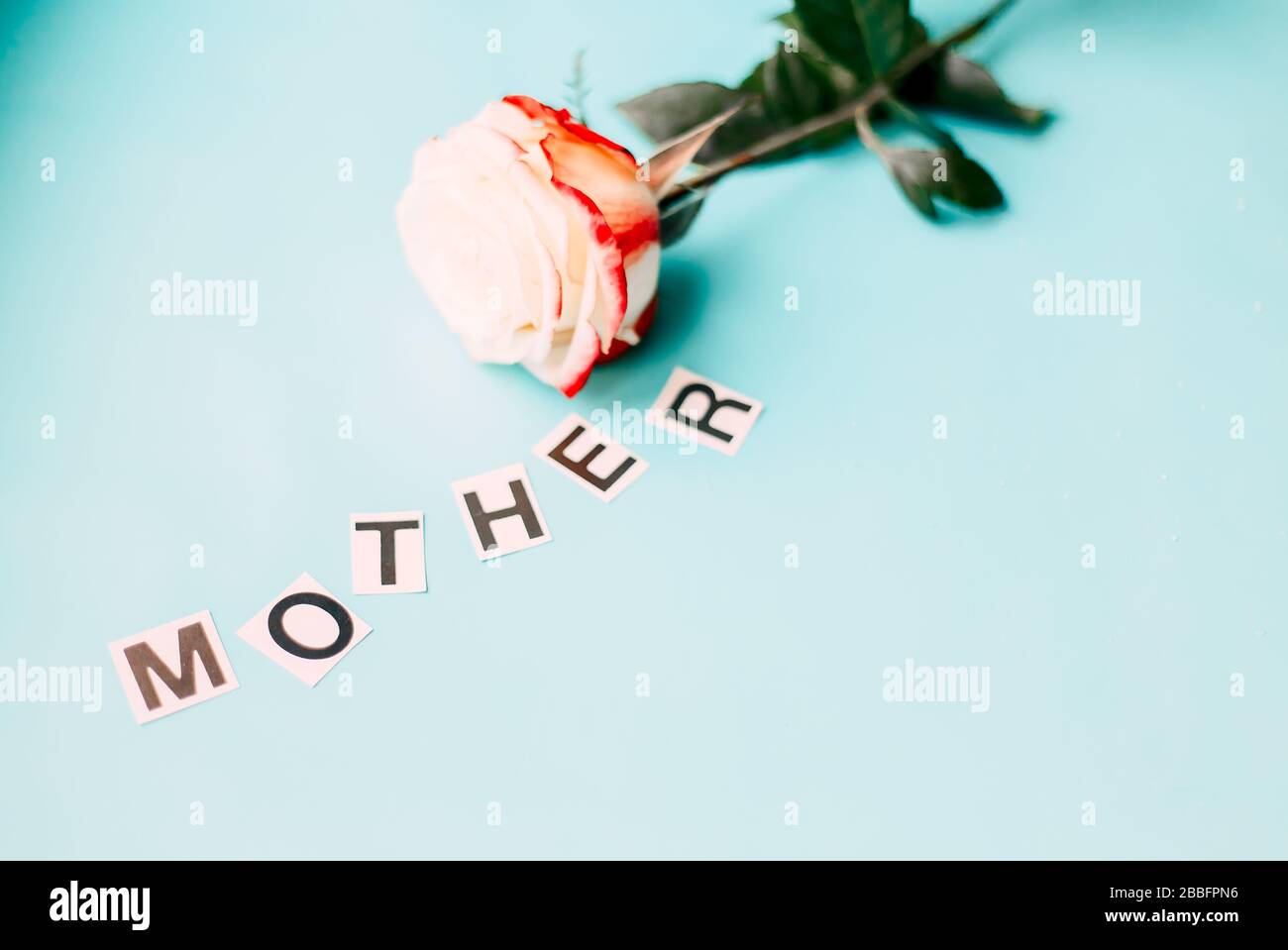 rose for mother, letters mother on blue background Stock Photo - Alamy