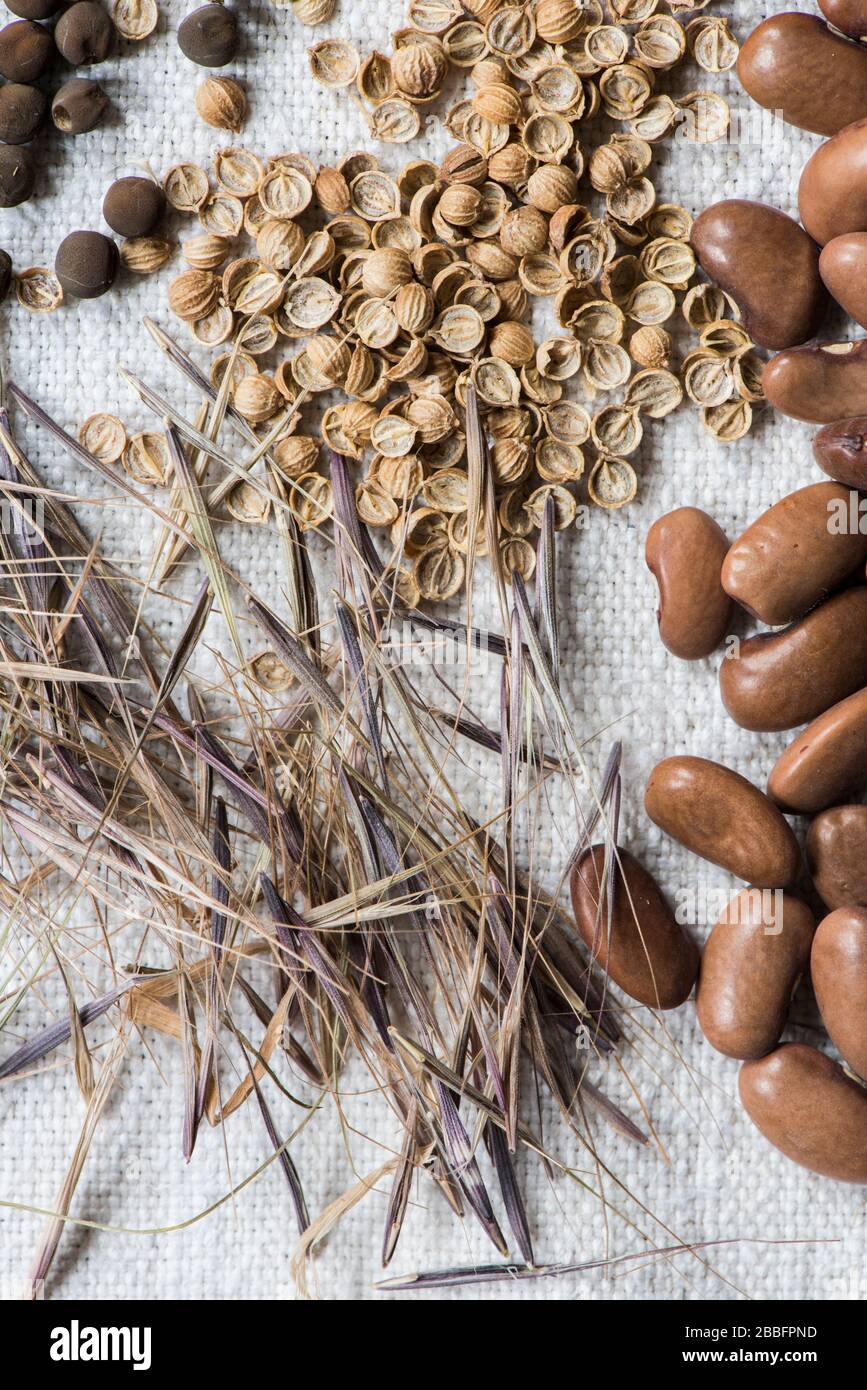 Spring flower and vegetable seeds Stock Photo - Alamy