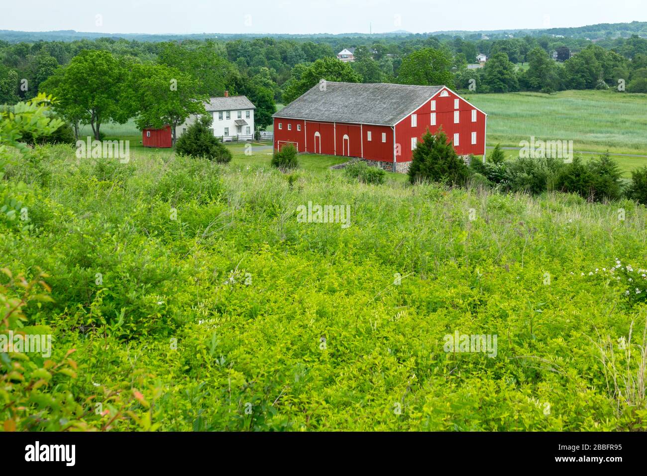 Oak ridge gettysburg hi-res stock photography and images - Alamy