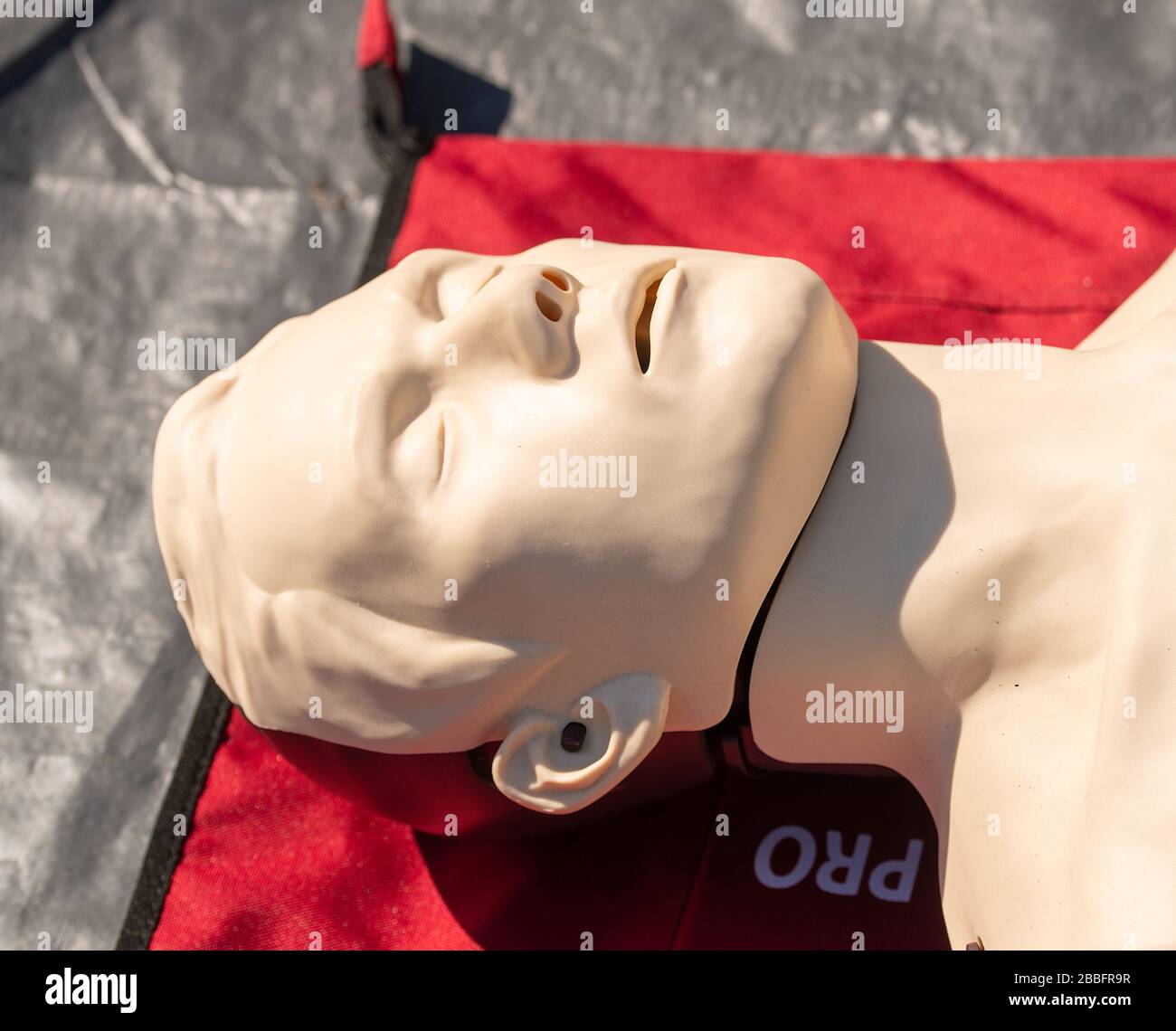 Anatomical manikin laying on the floor used by members of the public ...