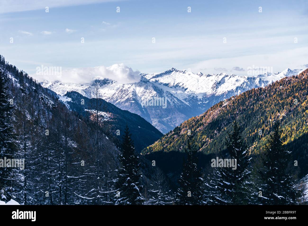 The forest and the view of the tartano valley, Near the town of ...