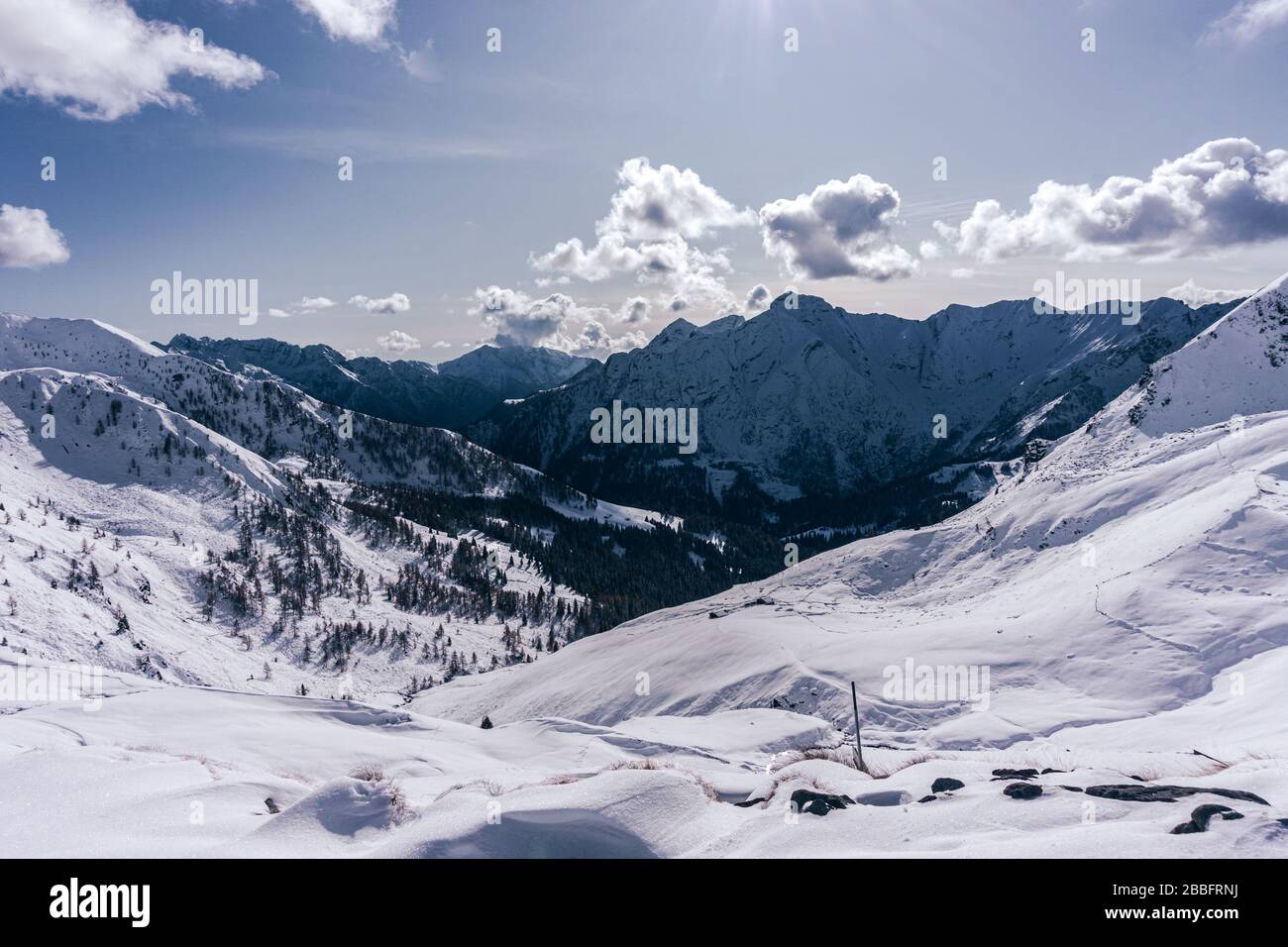 The forest and the view of the tartano valley, Near the town of ...