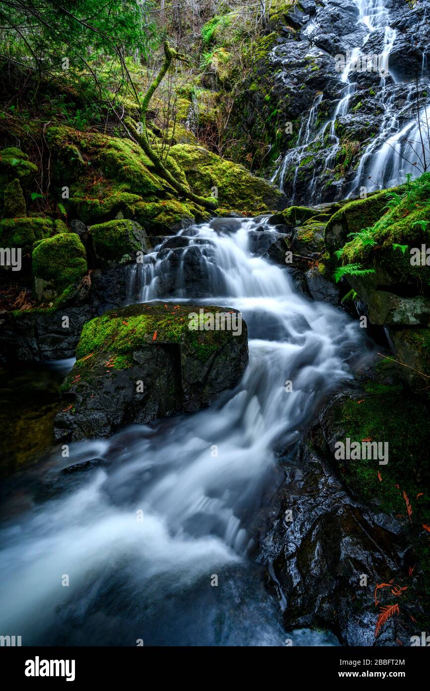 Mary vine falls hi-res stock photography and images - Alamy