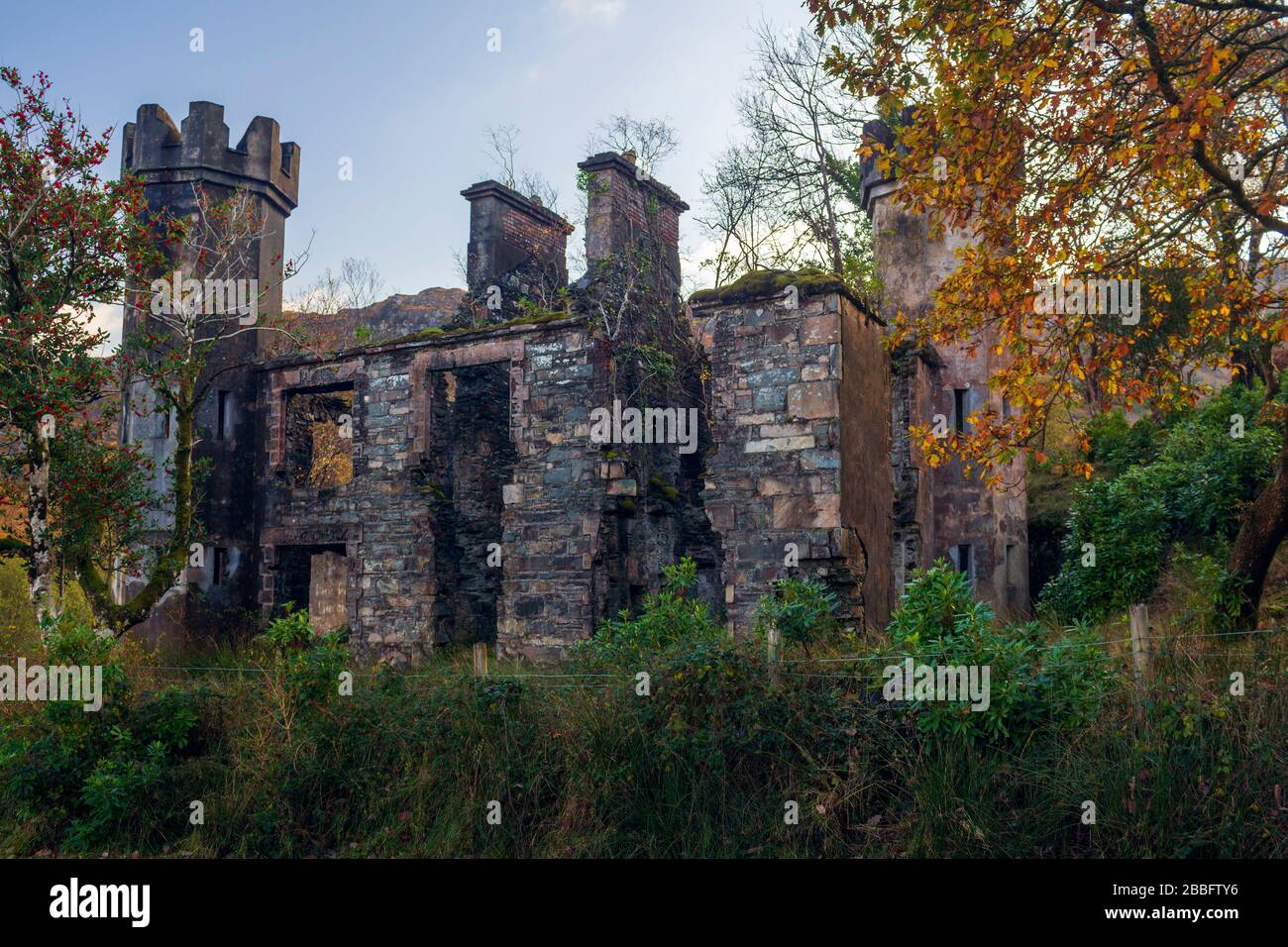 Image of the ruins of an old Irish castle in countryside of County ...