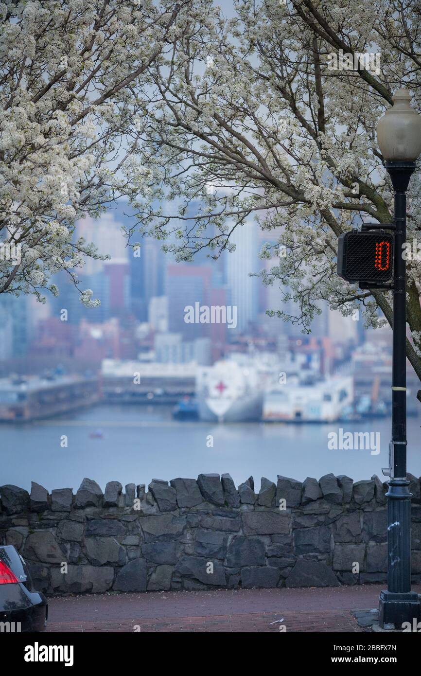 USNS Comfort U.S. Navy Hospital Ship docked in New York City Pier 90 ...