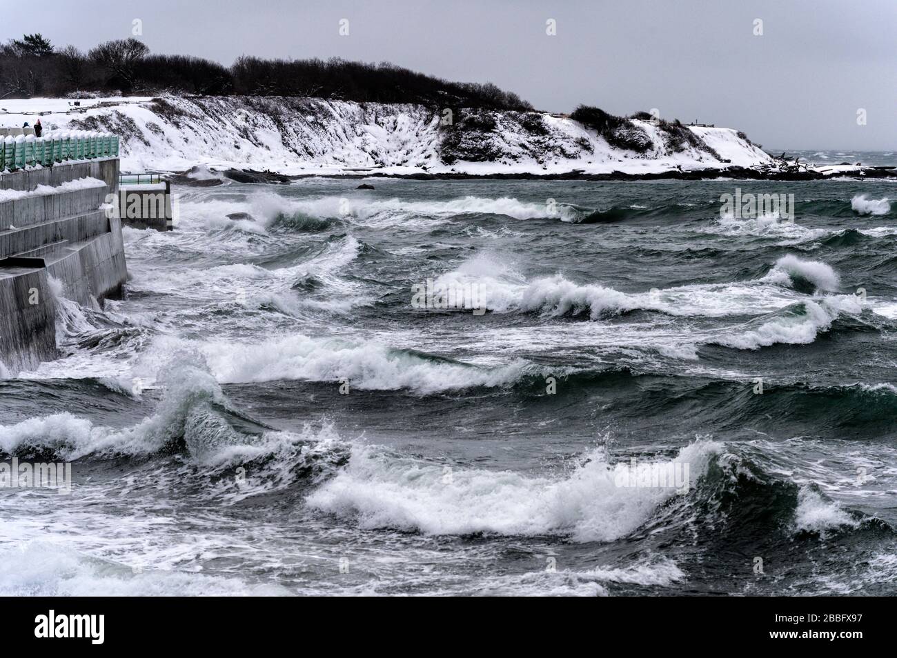 Victoria bc in january hi-res stock photography and images - Alamy