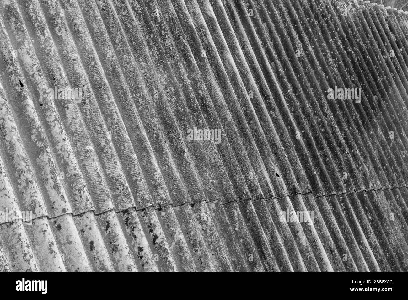 Wavy roof hi-res stock photography and images - Alamy