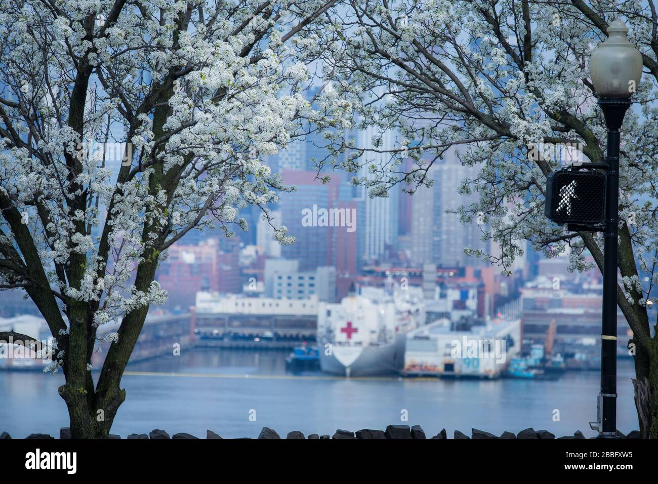 USNS Comfort U.S. Navy Hospital Ship docked in New York City Pier 90 ...