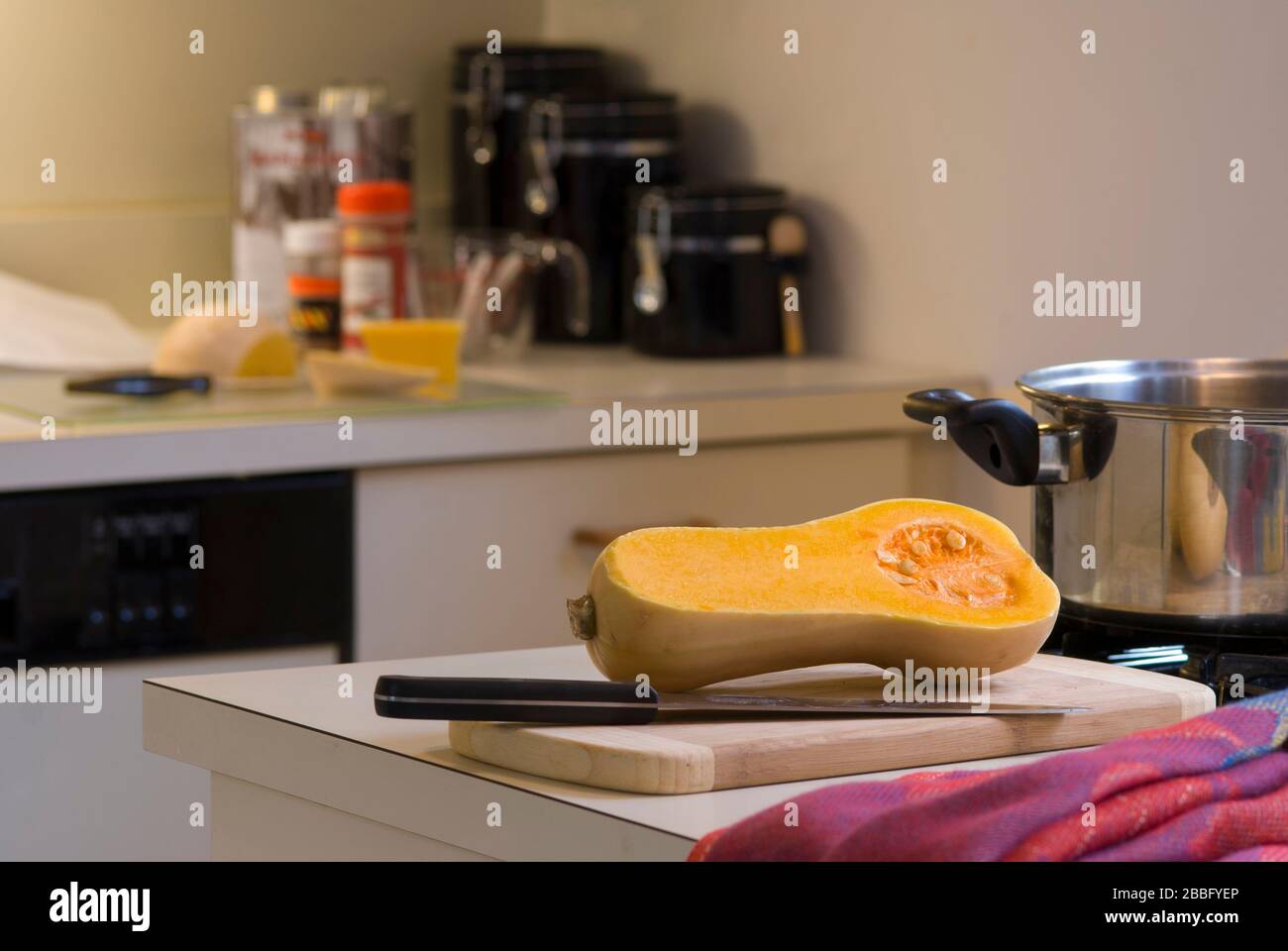 Ingredients in kitchen next to four burner gas cooktop and on counter ...