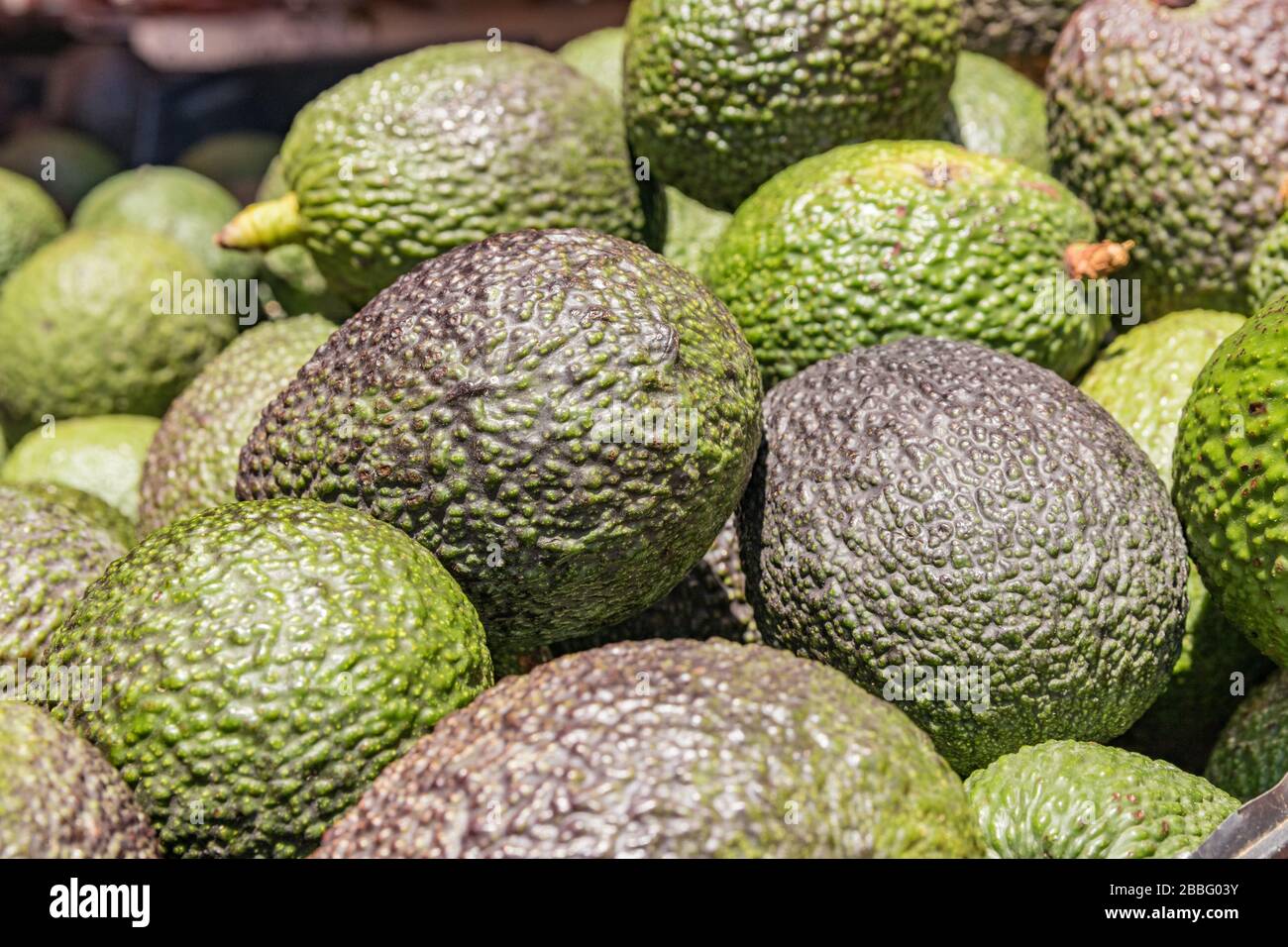 Avocado pears hi-res stock photography and images - Alamy