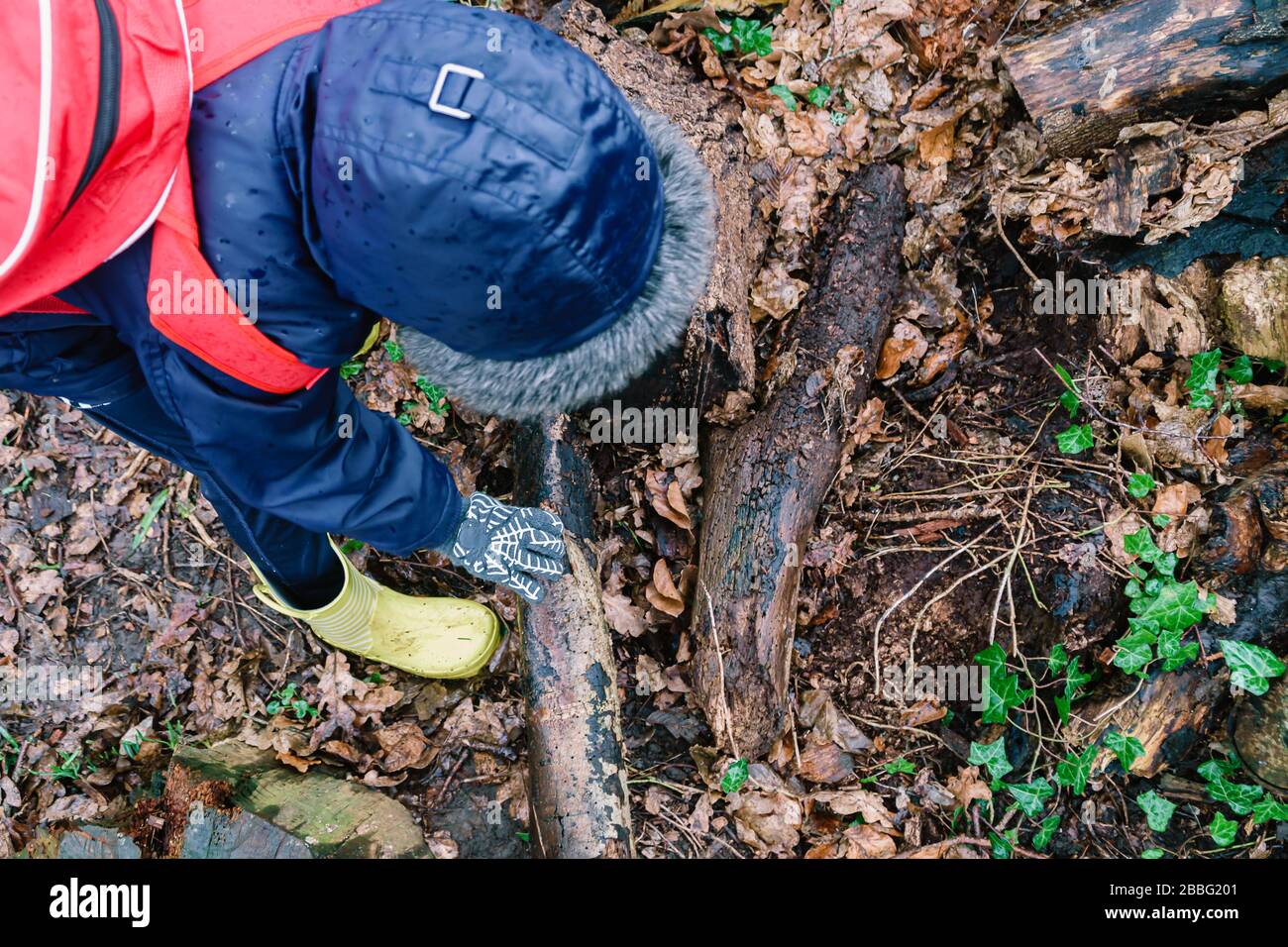 Boy searching for minibeasts on a bug hunt Stock Photo - Alamy