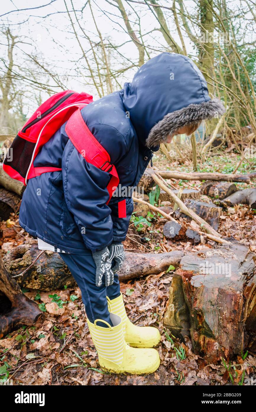 Minibeasts hi-res stock photography and images - Alamy