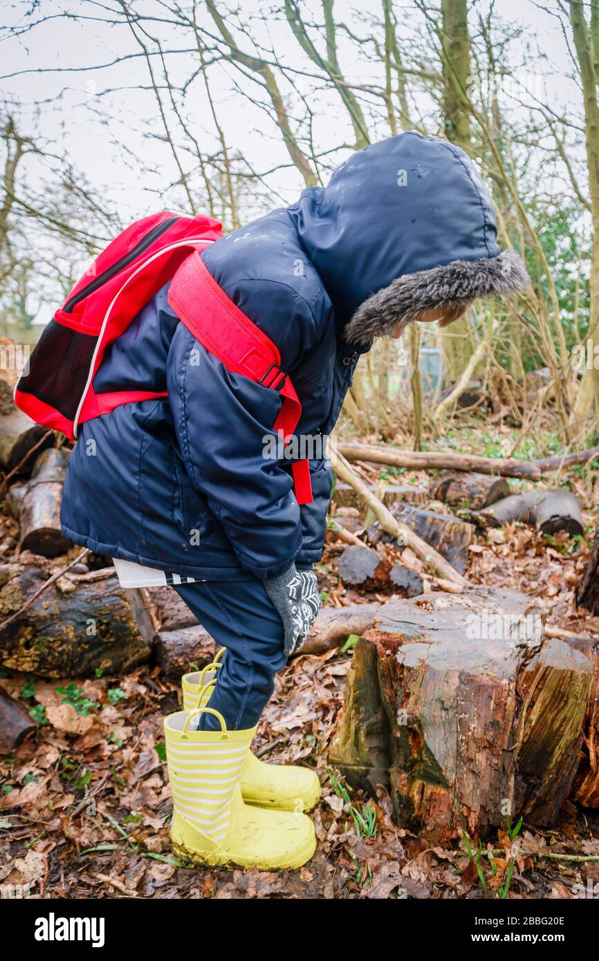 Boy searching for minibeasts on a bug hunt Stock Photo - Alamy