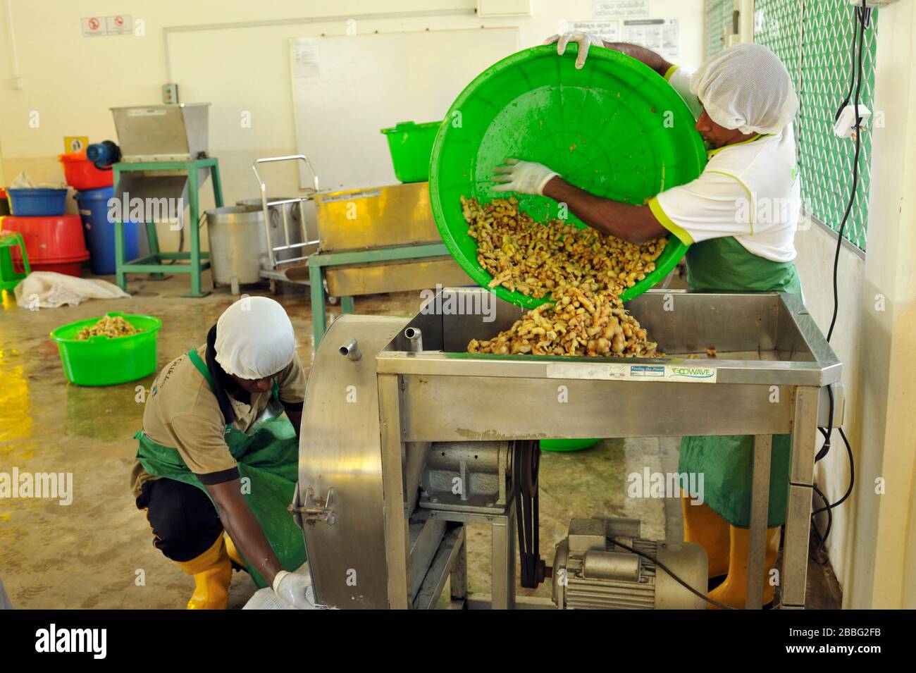 Food processing factory hi-res stock photography and images - Alamy