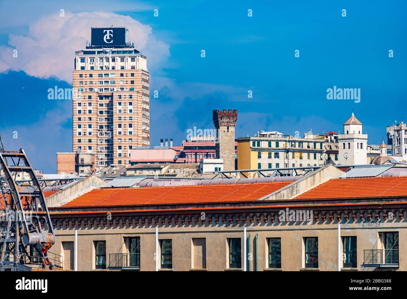 The skyline of Genoa seen from the see, with its palaces and Torre ...