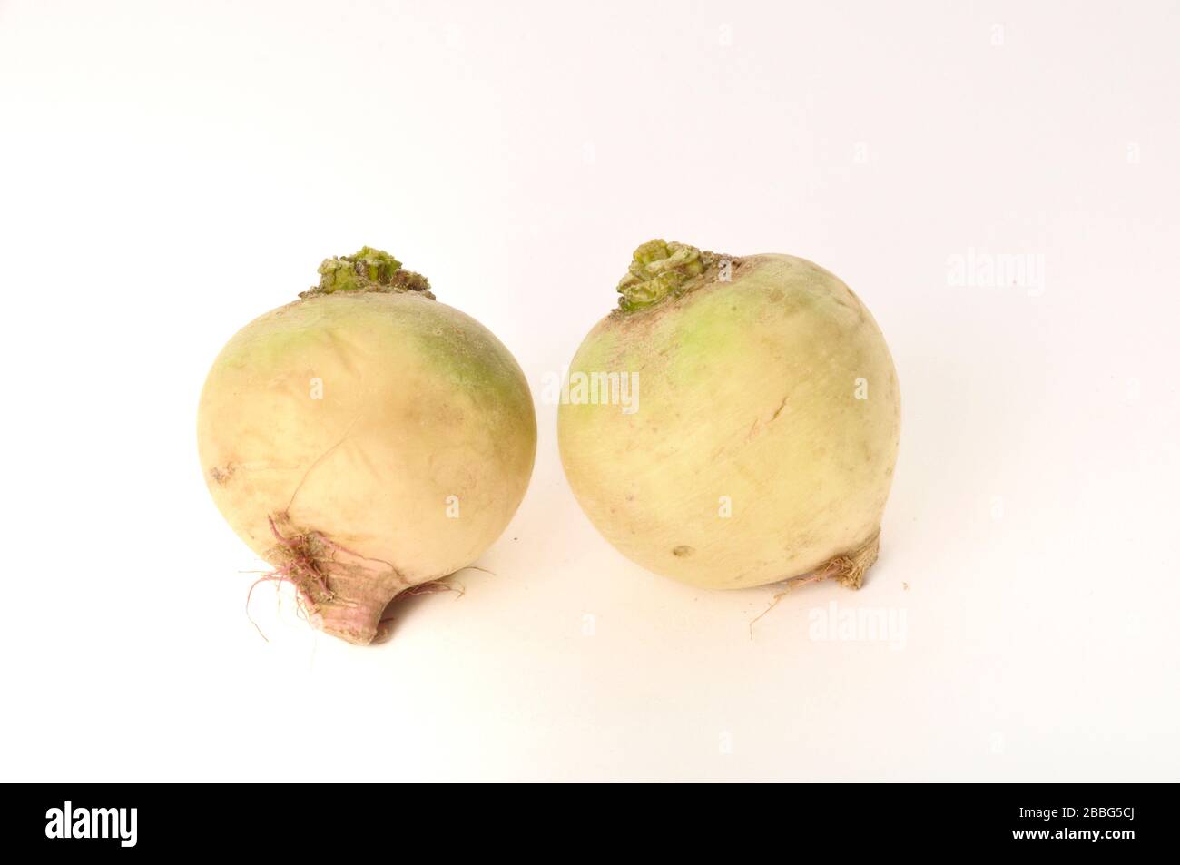 Radish red meat on white background Stock Photo - Alamy