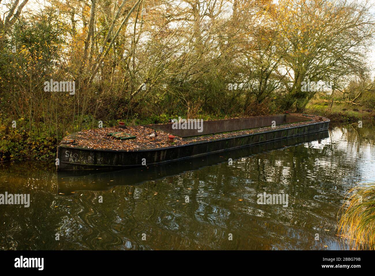 abandoned barge on the Basingstoke Canal in autumn Stock Photo - Alamy