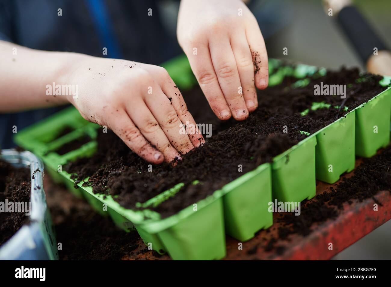 School Vegetable Garden High Resolution Stock Photography and Images ...