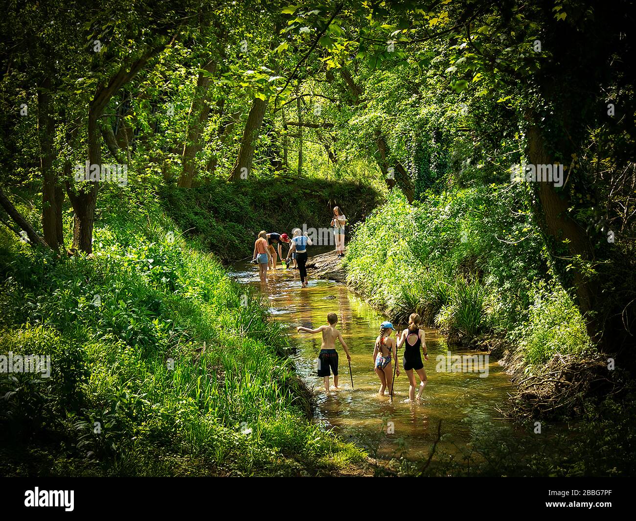 Children play in stream in leafy glade in sunshine Stock Photo - Alamy