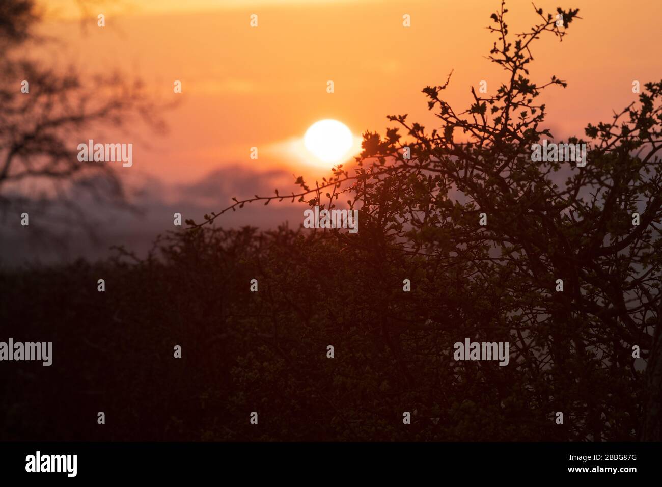 Sunrise in the English countryside Stock Photo - Alamy