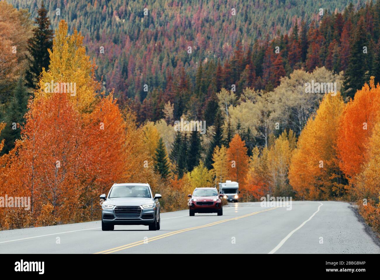 Car on road in Banff National Park in Canada Stock Photo - Alamy