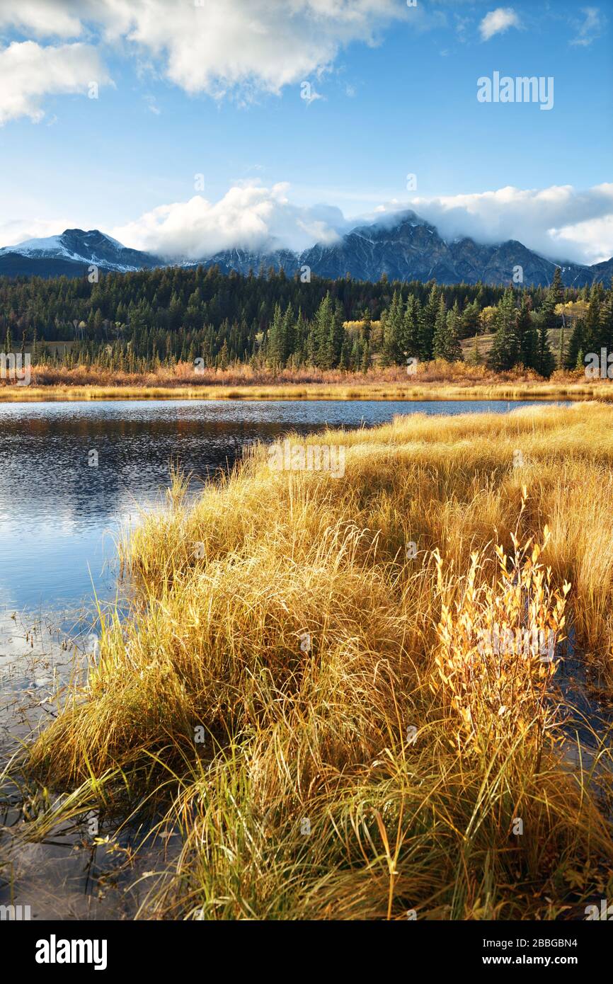 Beautiful Autumn foliage in Jasper National Park in Canada Stock Photo ...