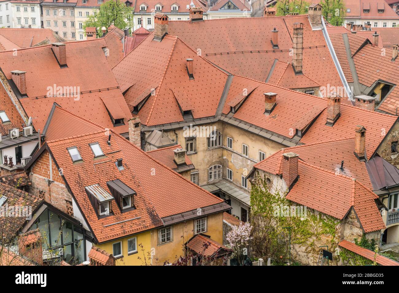 roofs of buildings as a background in a city of Europe Stock Photo - Alamy