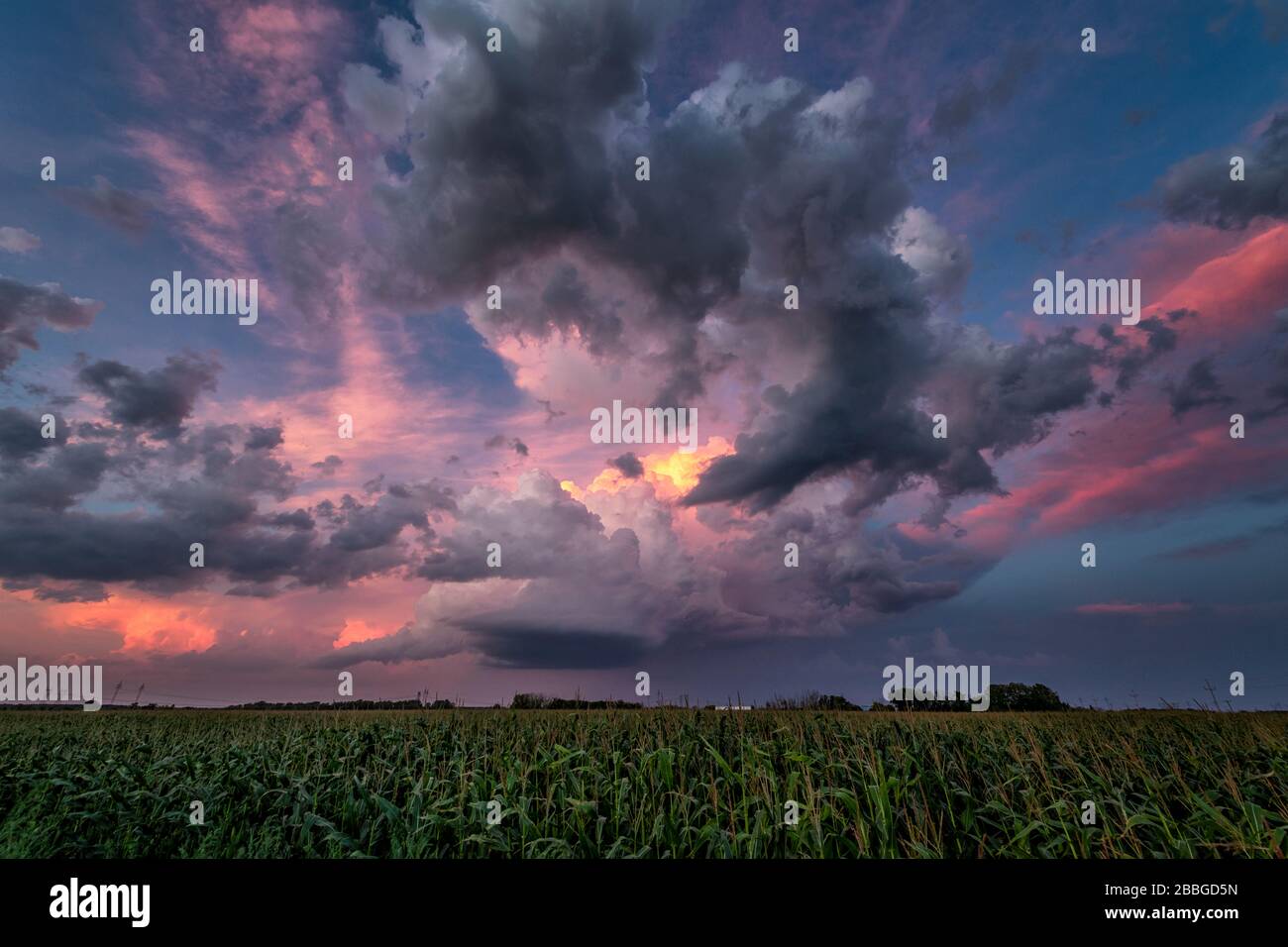 Clouds over corn field hi-res stock photography and images - Alamy