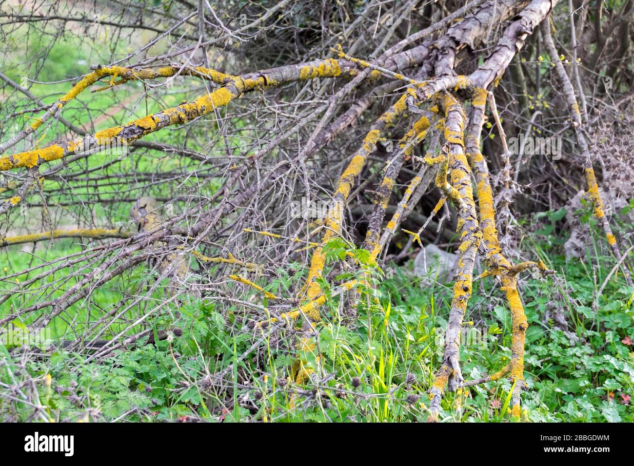 Small particles hi-res stock photography and images - Alamy