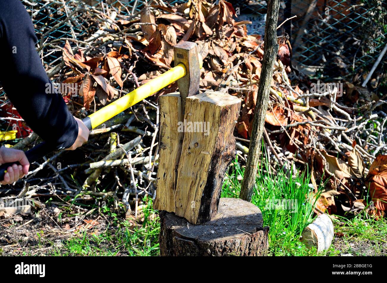 Chopping wood in a rural scene Stock Photo - Alamy