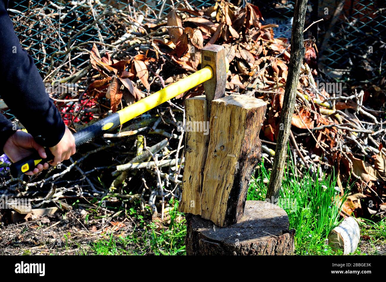 Chopping wood in a rural scene Stock Photo - Alamy