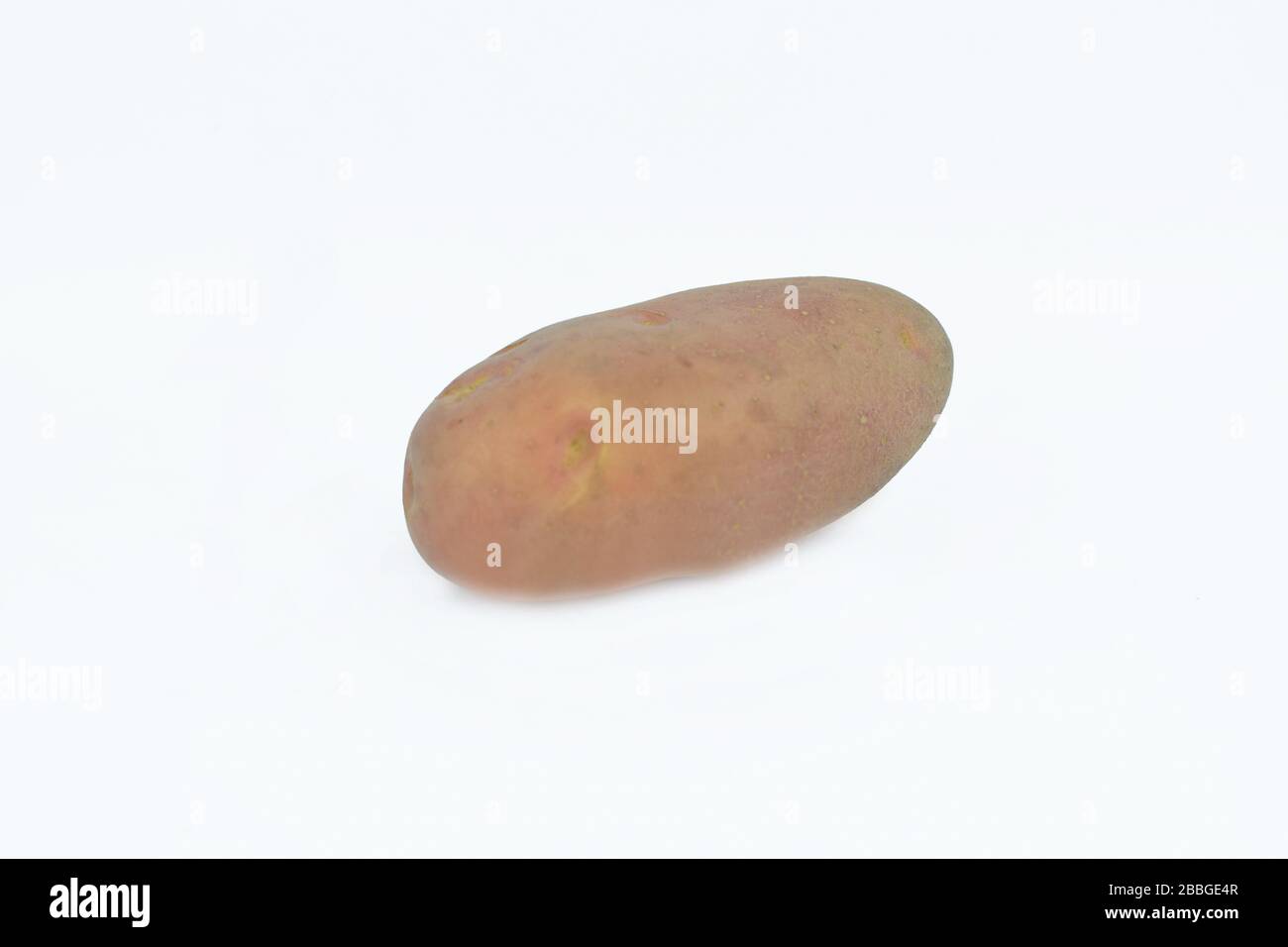 Close up picture of a big brown normal potato isolated in an empty ...
