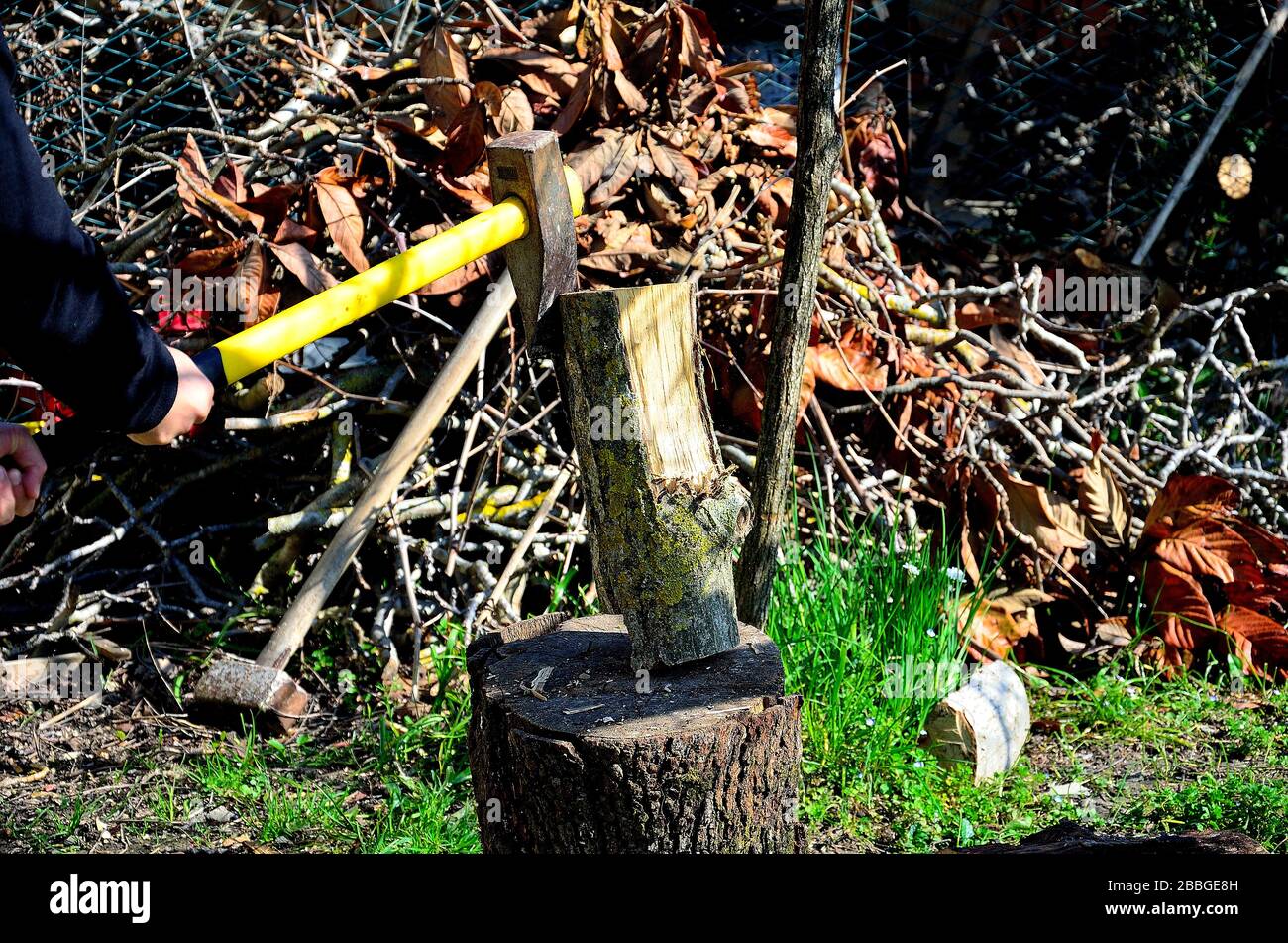 Chopping wood in a rural scene Stock Photo - Alamy