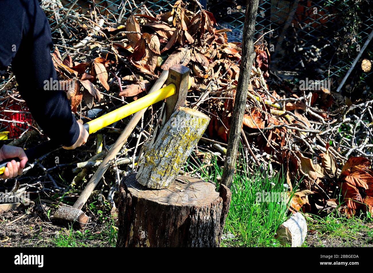 Chopping wood in a rural scene Stock Photo - Alamy