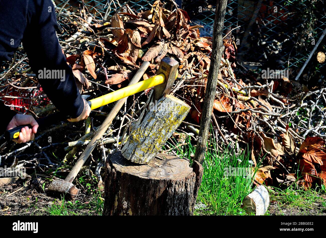 Chopping wood in a rural scene Stock Photo - Alamy