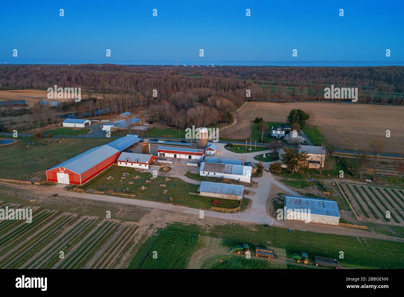 Tulip farm aerial view hi-res stock photography and images - Alamy