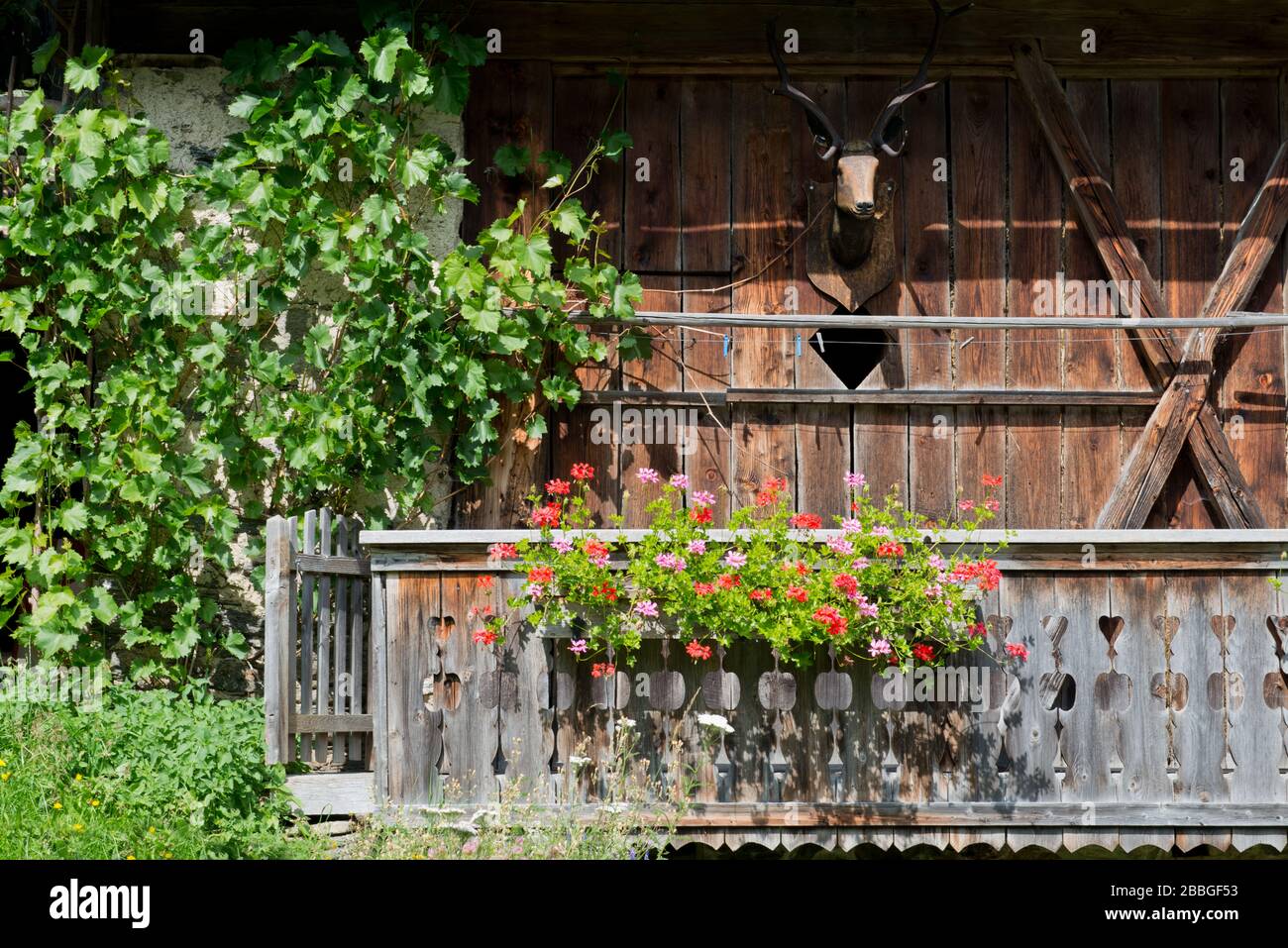 Wooden balcony geraniums hi-res stock photography and images - Alamy