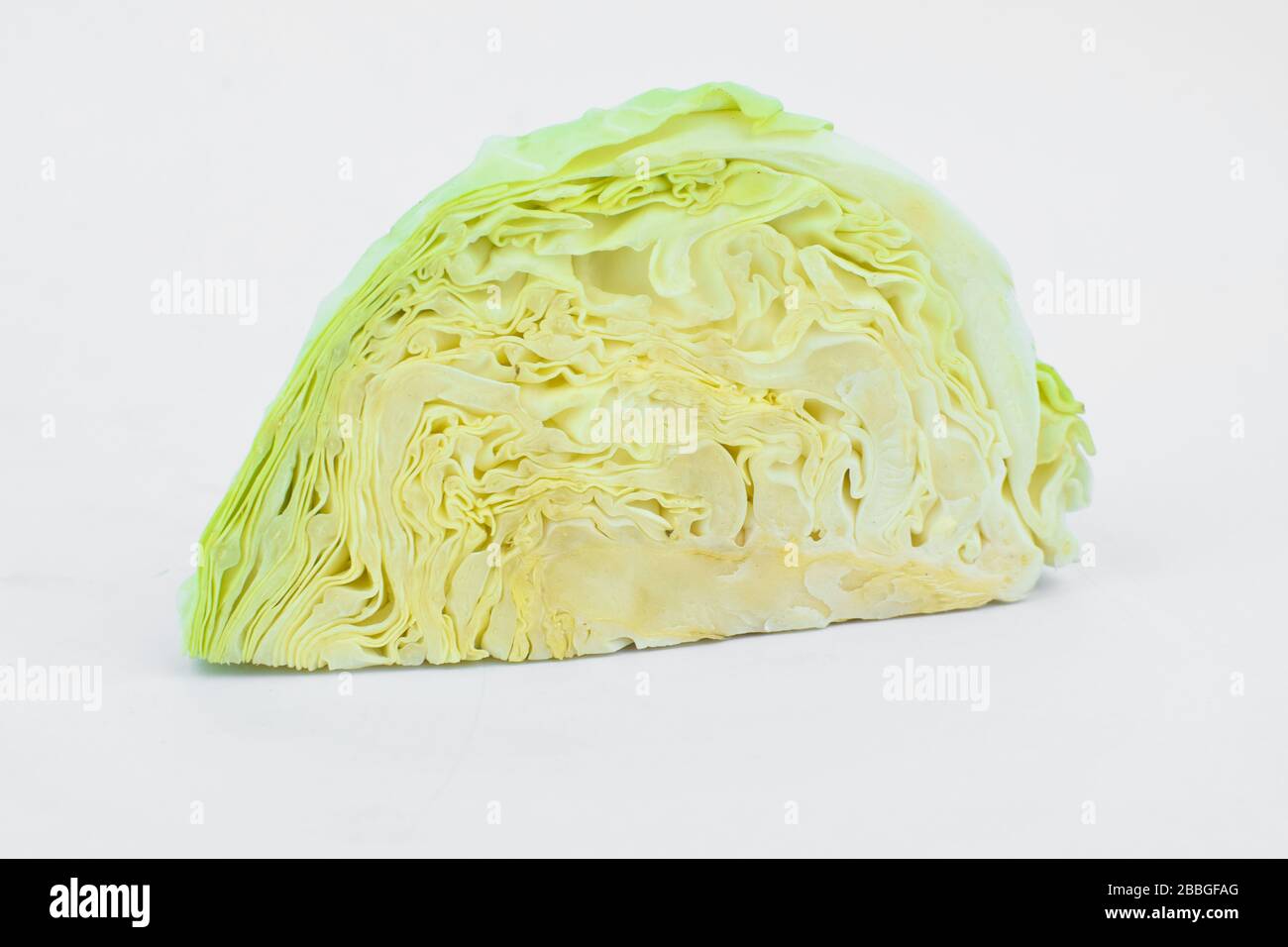 Side view of a half cut fresh green and white cabbage vegetable ...