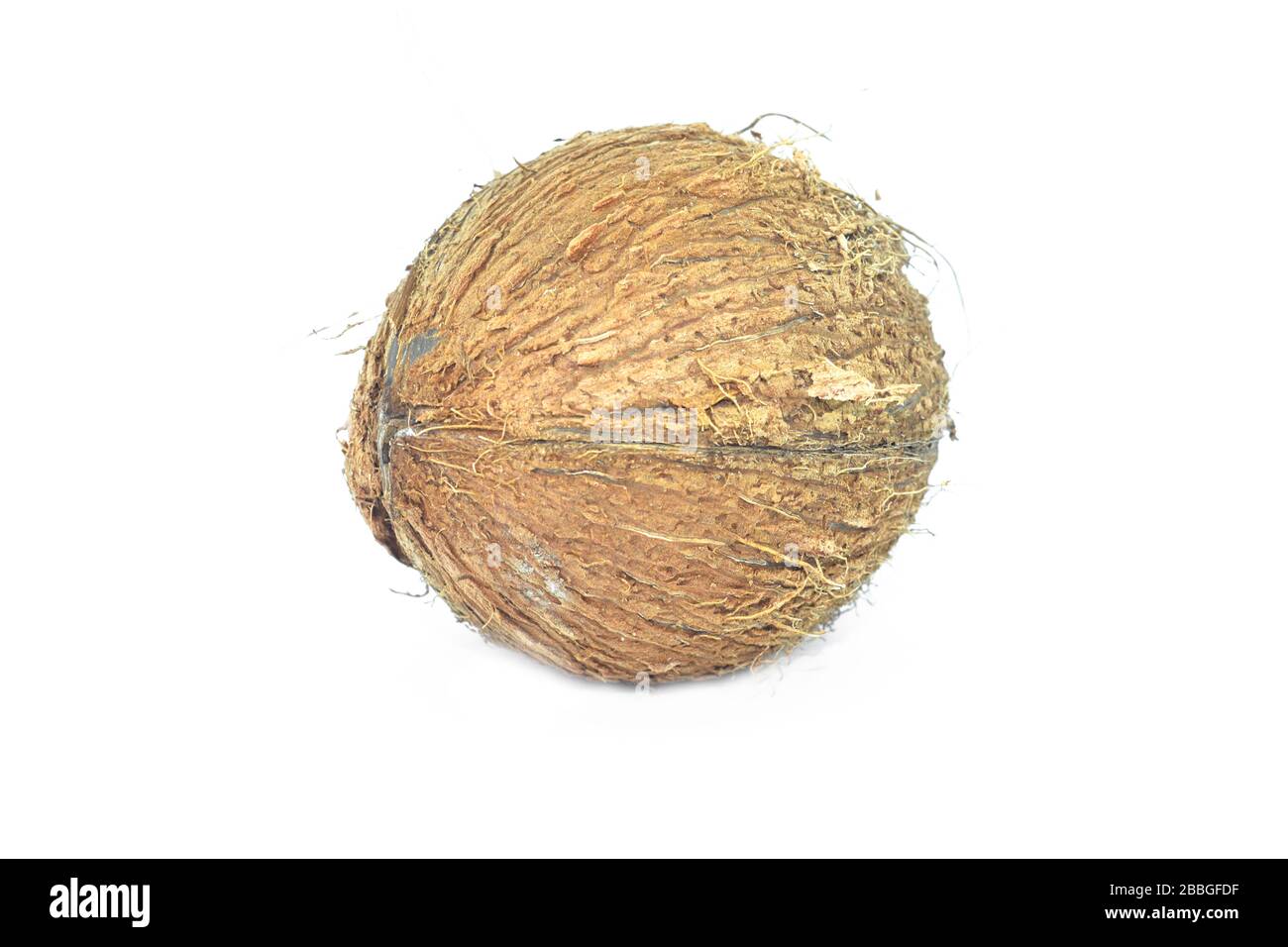 Side view of a rustic coconut in the middle of an isolated empty white ...
