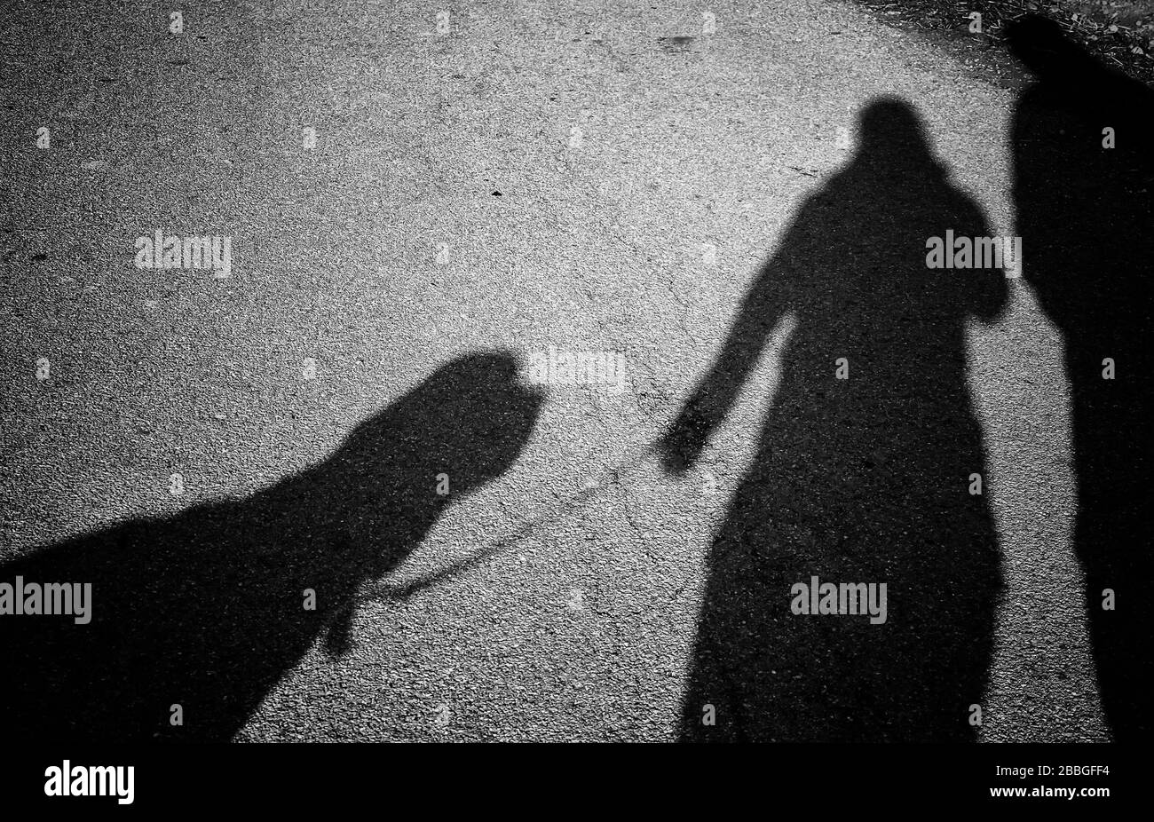 Shadow couple and dog in park, animals and nature Stock Photo - Alamy