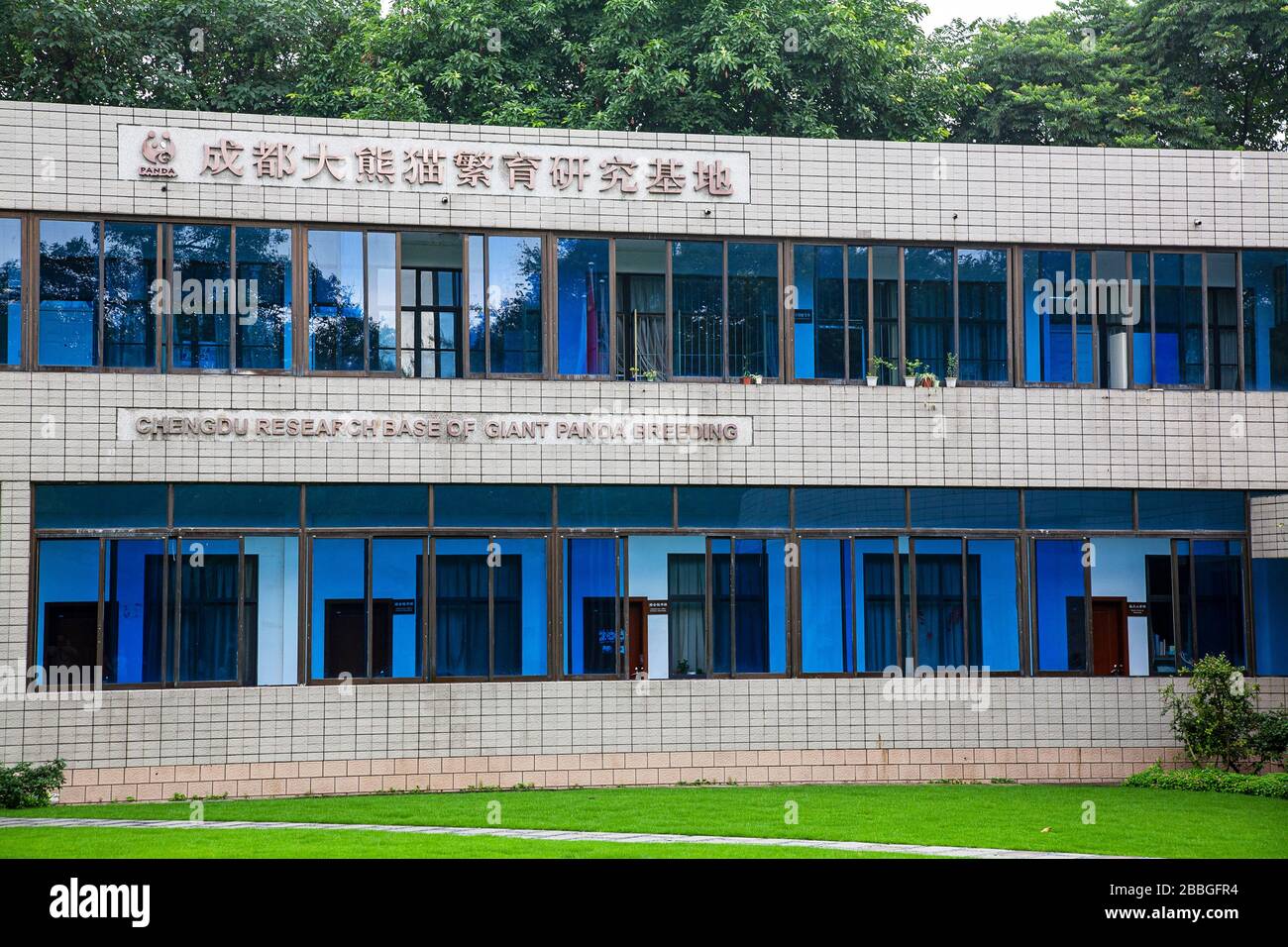 China Cheng du Research Base of Giant Panda Breeding Chengdu Reserve ...