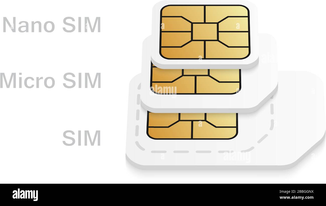 Realistic blank SIM card different sizes. Different phone card types ...