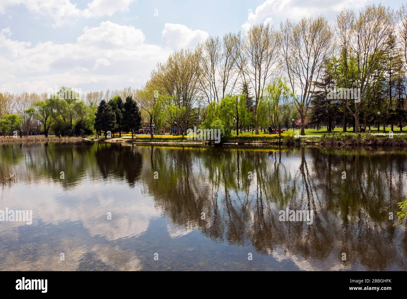 Summer green forest reflection on lake surface hi-res stock photography ...