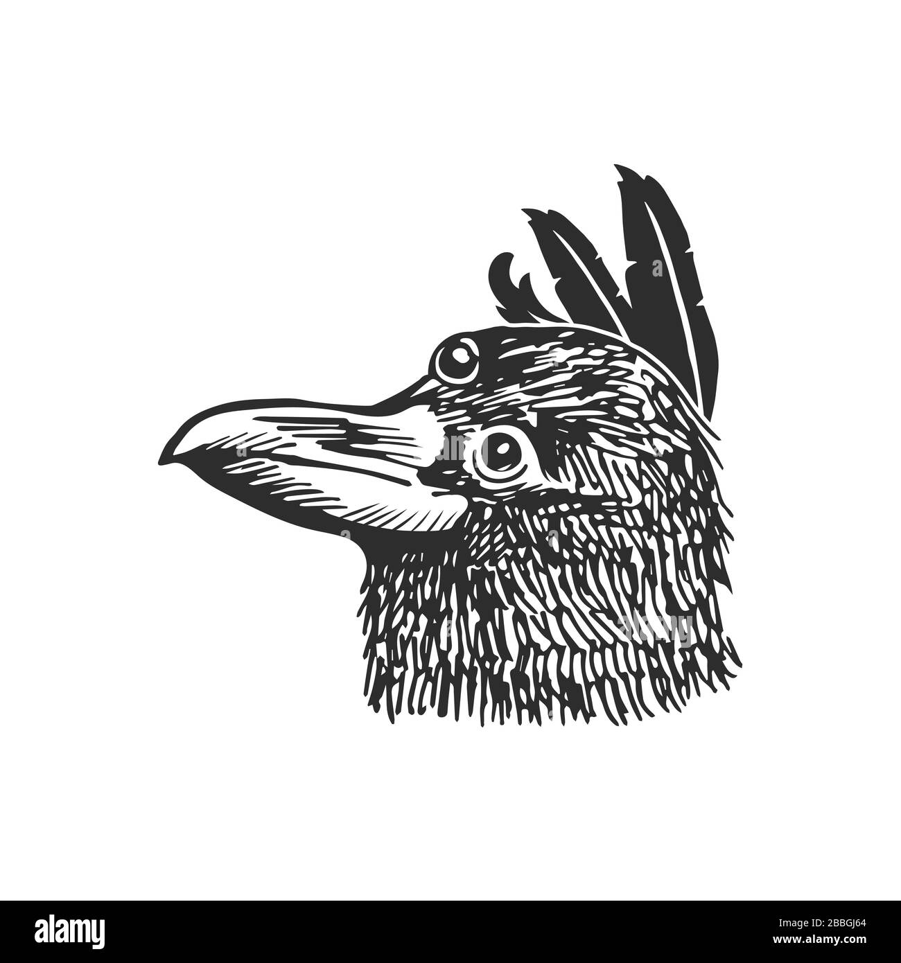 Mystical bird vector illustration Stock Vector Image & Art - Alamy